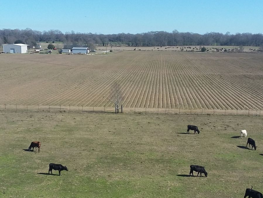 Rural Wireless Network
