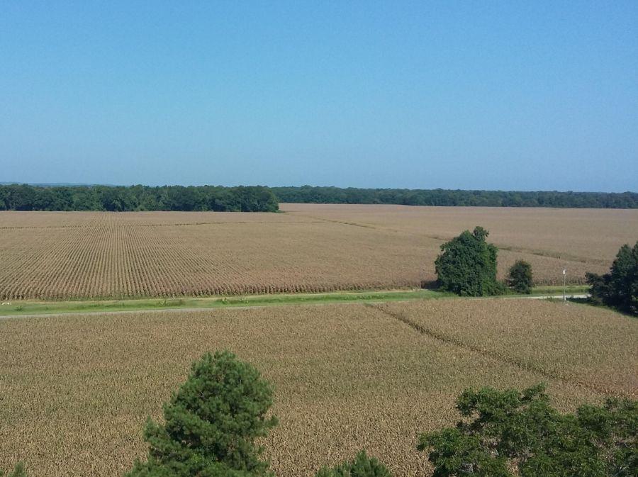 Rural Wireless Network